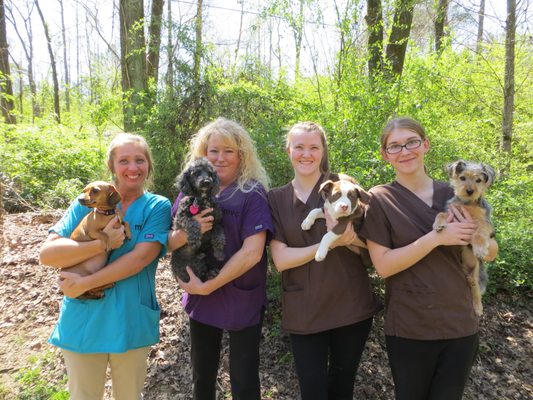 MURRAYVILLE VETERINARY CLINIC - Updated November 2025 - 63 Photos & 25 ...