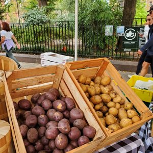 BUSHWICK FARMERS’ MARKET - cor. Broadway & Linden St., Brooklyn, New ...