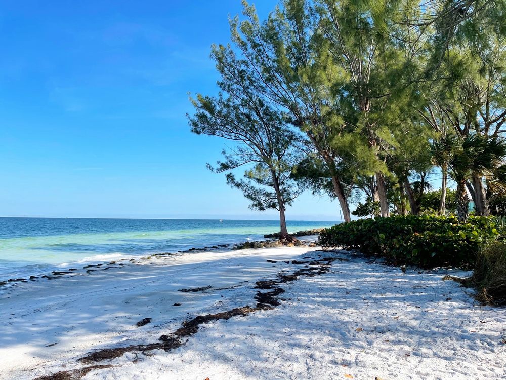 BEAN POINT - Updated January 2025 - 89 Photos & 26 Reviews - Anna Maria ...