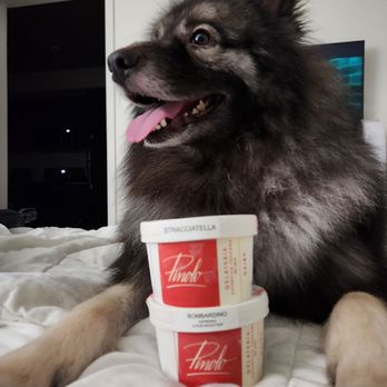 PINOLO GELATO - Updated November 2024 - 486 Photos & 360 Reviews - 3707 ...