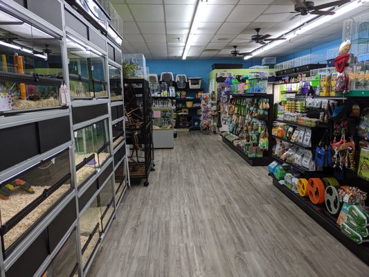 INCREDIBLE PETS - 12 Photos - Reptile Shops - 1894 N Wickham Rd ...