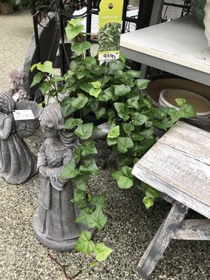 DELLA’S MAPLE LANE FLORIST - Updated November 2025 - 61 Photos & 33 ...