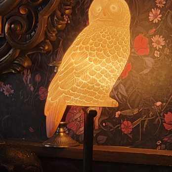 MUGGLES MUG - Updated October 2025 - 274 Photos & 206 Reviews - 79 ...