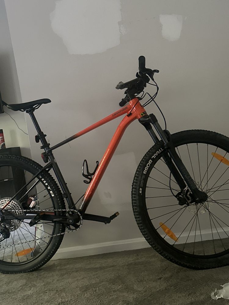 CONTE’S BIKE STORE - Updated October 2025 - 204 Mill St NE, Vienna ...