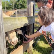 RESCUE RANCH - 26 Photos - 1424 Turnersburg Hwy, Statesville, North ...