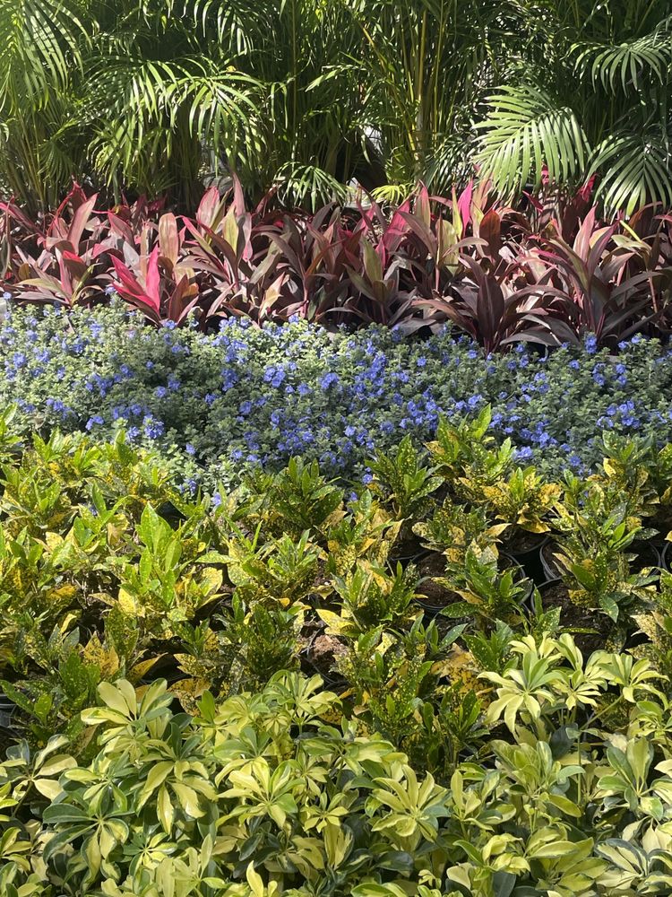 TRU GREEN SOD & NURSERY - Updated January 2026 - 1801 NW 119th St ...