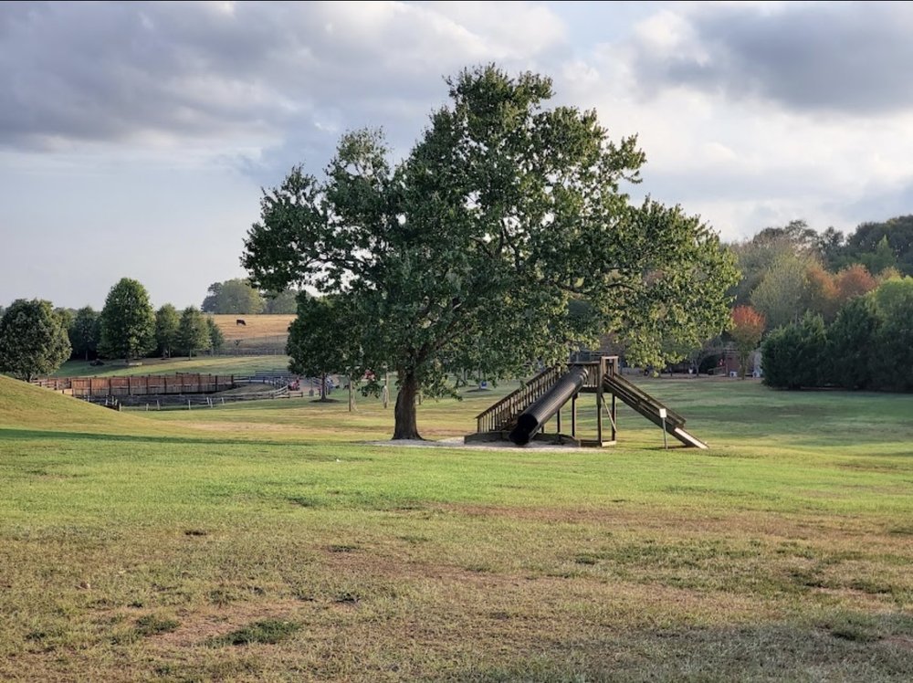 SMH LEGACY RANCH - Updated December 2025 - 5020 Barnesville Hwy, The ...