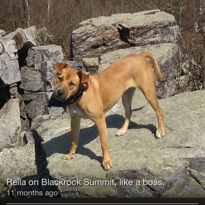 HUMANE INDIANA - Updated October 2025 - 14 Photos & 19 Reviews - 421 ...