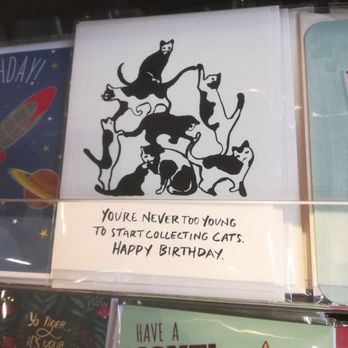 BOOKERY MANCHESTER - 43 Photos & 29 Reviews - 844 Elm St, Manchester ...