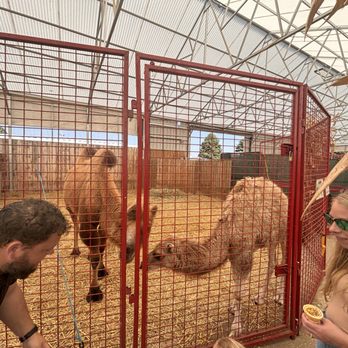 GOEBBERT’S FARM & GARDEN CENTER - Updated August 2025 - 590 Photos ...