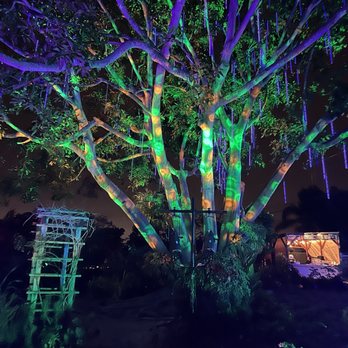 LIGHTSCAPE SAN DIEGO - Updated October 2025 - 250 Photos & 59 Reviews ...