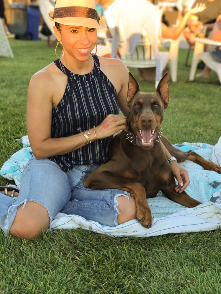 CAIRO CANINE - Updated May 2026 - Request a Quote - 475 Sparrow Dr ...