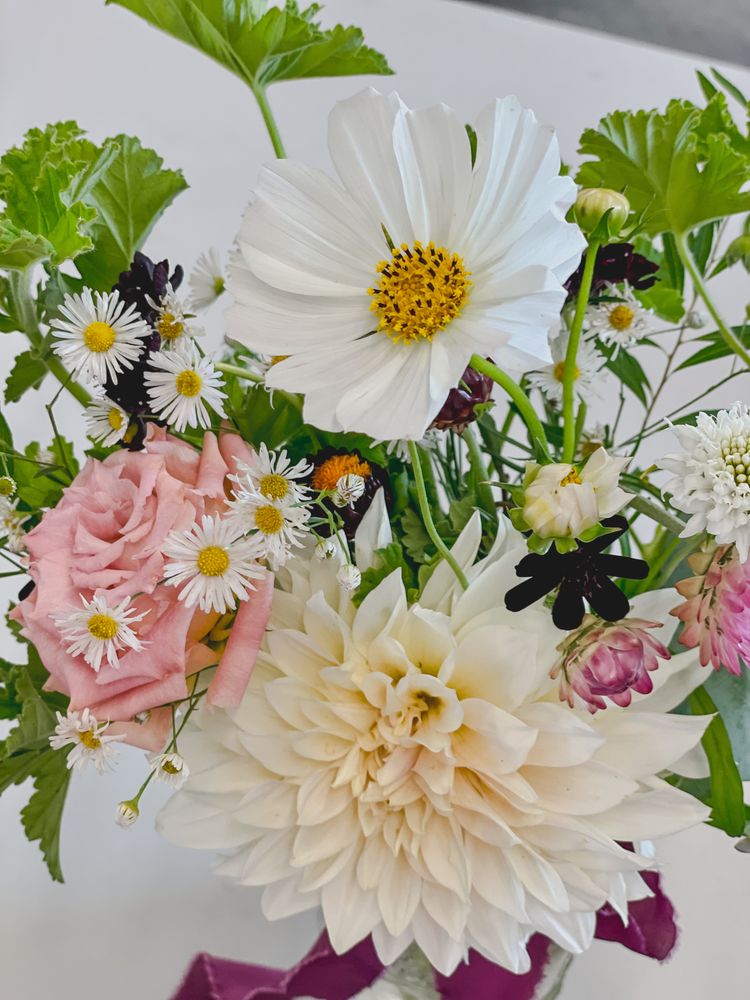 DILLY DAHLIA FLOWER - Updated April 2025 - Request Information - 13 ...