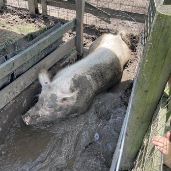 OIL RANCH - Updated September 2024 - 97 Photos & 48 Reviews - 23501 ...