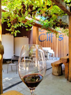 CASCADE CLIFFS WINERY - 58 Photos & 34 Reviews - 8866 State Rt 14 ...