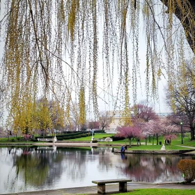 WADE PARK LAGOON - Updated September 2025 - 76 Photos & 19 Reviews ...