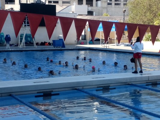 JOHN C ARGUE SWIM STADIUM - Updated June 2024 - 45 Photos & 31 Reviews ...