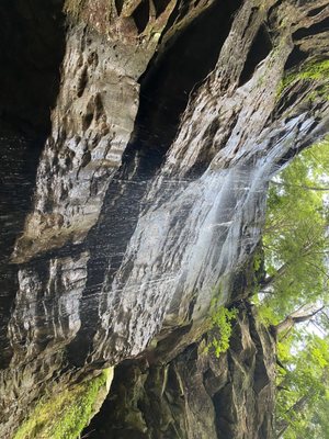 BANKHEAD NATIONAL FOREST - Updated October 2025 - 45 Photos - 1070 AL ...