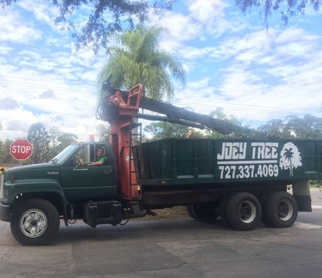 JOEY TREE - Updated December 2025 - 10 Photos - St Petersburg, Florida ...