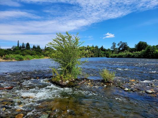 ANCIL HOFFMAN PARK - Updated December 2025 - 116 Photos & 46 Reviews ...