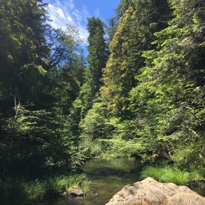 SCHOONER’S LANDING - 16 Photos & 15 Reviews - 33621 Albion River ...