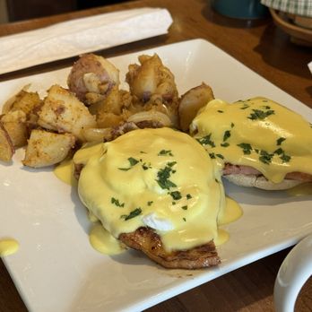 THE SURFSIDE ROOSTER - Updated September 2024 - 203 Photos & 173 ...