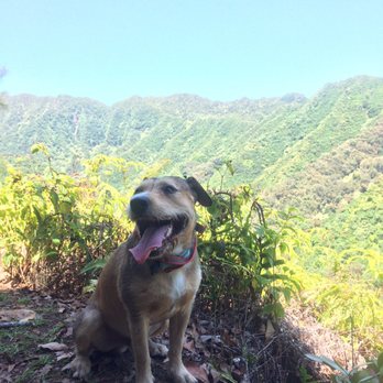 HAU’ULA LOOP TRAIL - Updated December 2024 - 141 Photos & 23 Reviews ...