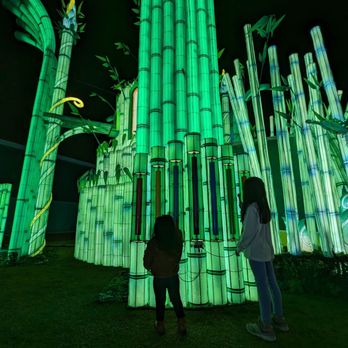 STOCKTON LANTERN FESTIVAL MAGIC FOREST - Updated October 2025 - 62 ...