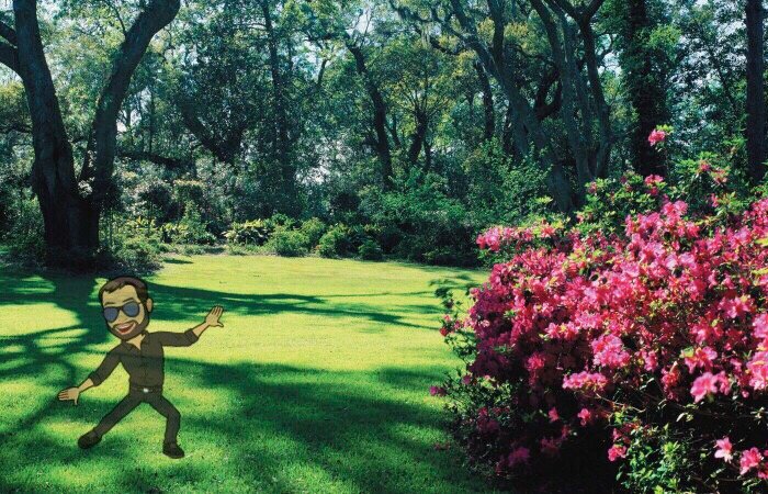 KICKIN GRASS - Updated April 2025 - 5006 Randall Pkwy, Wilmington ...