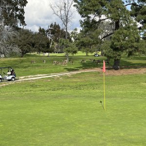 MARSHALL CANYON GOLF COURSE - 119 Photos & 67 Reviews - 6100 N Stephens ...