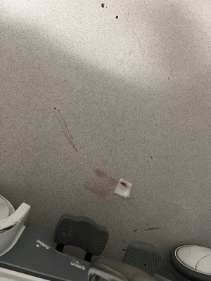 ADVENTHEALTH FISH MEMORIAL - Updated December 2025 - 35 Photos & 70 ...