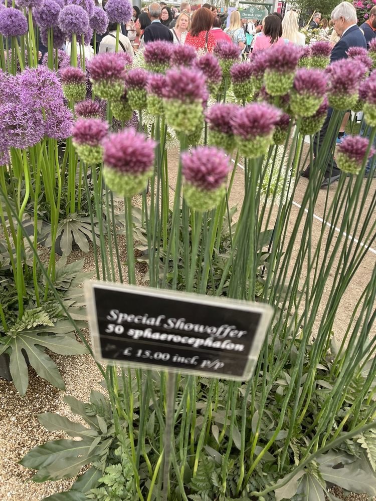 THE CHELSEA FLOWER SHOW - 35 Photos & 18 Reviews - Chelsea Embankment ...