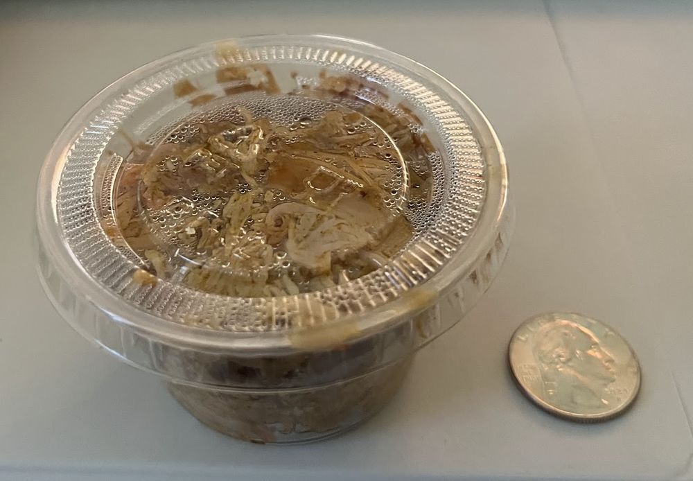 BLUE RIBBON BBQ - Updated July 2025 - 205 Photos & 745 Reviews - 908 ...