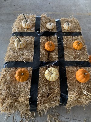 KNUTSON FARMS - 23 Photos & 17 Reviews - 16406 78TH ST E, Sumner ...