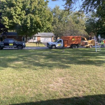 REYES TREE SERVICES - Updated December 2025 - 120 Photos - 1469 Rose ...