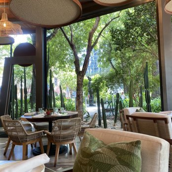 KOKO - Updated August 2024 - 371 Photos & 187 Reviews - 2856 Tigertail ...