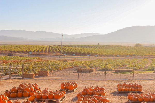 GAMBONINI FAMILY RANCH - Updated October 2024 - 12 Photos - 7149 Old ...