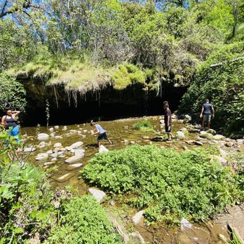 Natural Bridges Hiking Trail - 360 Photos & 144 Reviews - Hiking ...