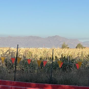 VERTUCCIO FARMS - Updated December 2025 - 336 Photos & 163 Reviews ...