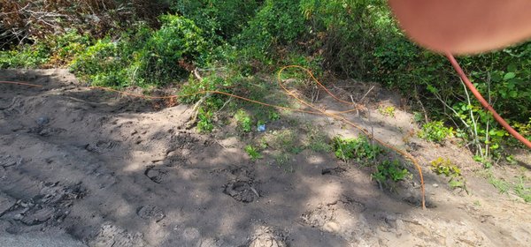 SPECTRUM - Updated September 2025 - 51 Photos & 319 Reviews - 1906 S ...