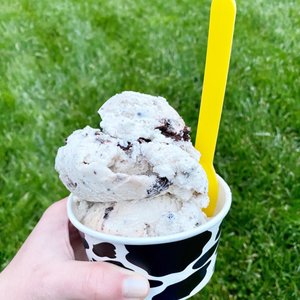 PROVIDENCE DIVINE CAKES & PASTRIES - 13 Photos & 29 Reviews - 2515 S ...