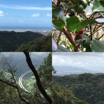 AIEA LOOP TRAIL - Updated June 2024 - 1354 Photos & 306 Reviews - 99 ...