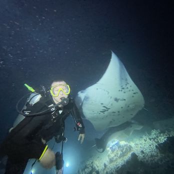 JACK’S DIVING LOCKER - Updated July 2024 - 232 Photos & 490 Reviews ...