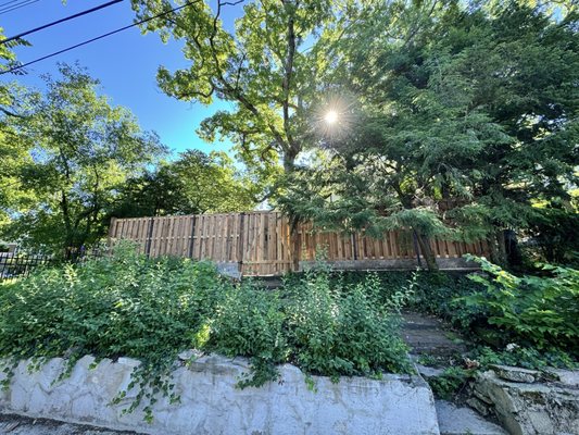 CENTURY LAWN CARE CO Updated January 2025 49 Photos 22 Reviews Evanston Illinois Tree Services Phone Number Yelp