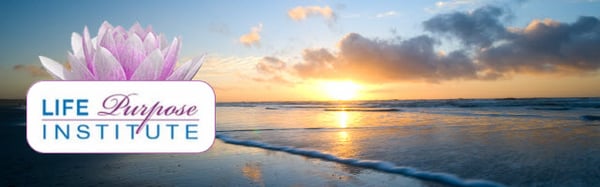 LIFE PURPOSE INSTITUTE - Updated December 2025 - 15 Reviews - 9245 Twin ...