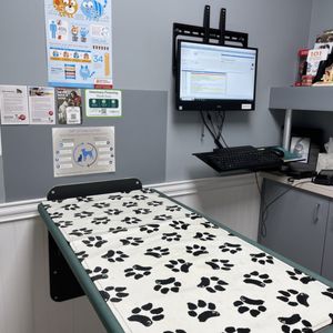 PAWS-2-HELP - Updated January 2025 - 49 Photos & 194 Reviews - 2693 ...