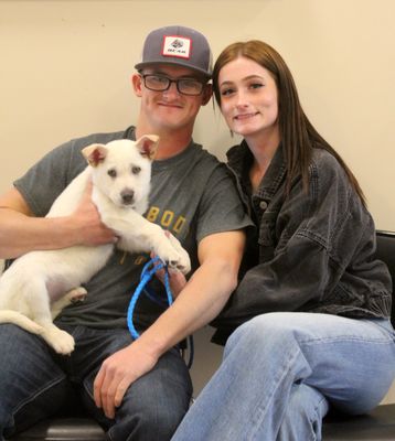 YUCCA VALLEY ANIMAL SHELTER - Updated March 2025 - 153 Photos - 4755 ...