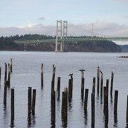 TITLOW BEACH AND PARK - 113 Photos & 35 Reviews - 8425 6th Ave, Tacoma ...