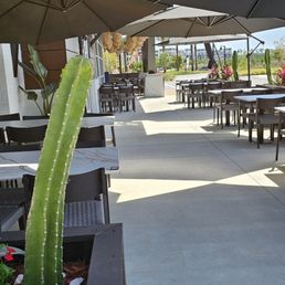 TULUM FLAVORS OF MEXICO - Updated January 2025 - 187 Photos & 50 ...