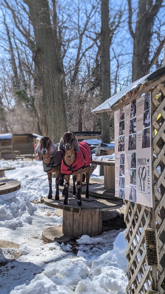 PHILLY GOAT PROJECT - Updated September 2025 - 6336 Ardleigh St ...